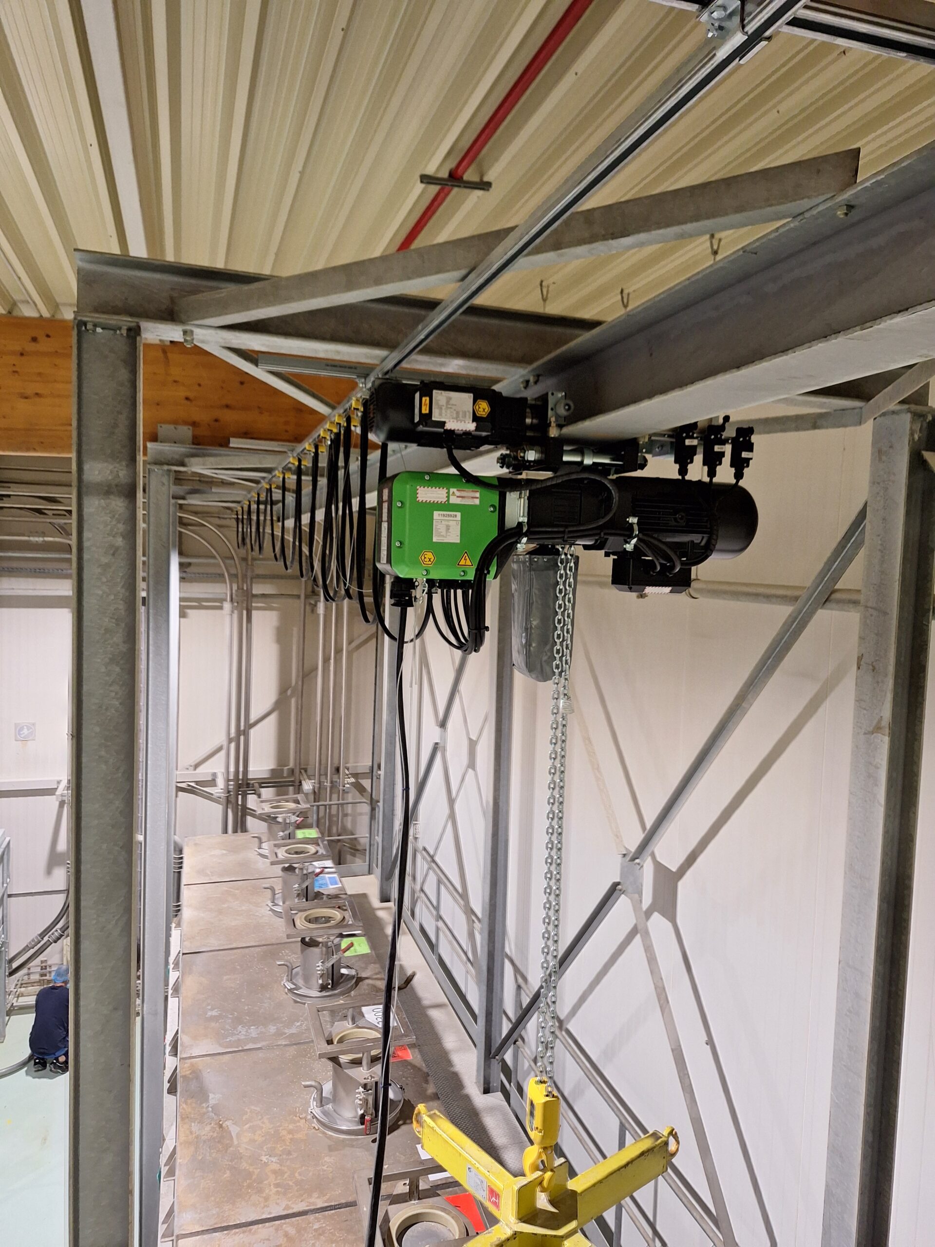 Installation of a hoist in a food processing plant - Ohis